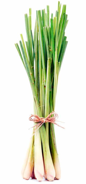 lemongrass